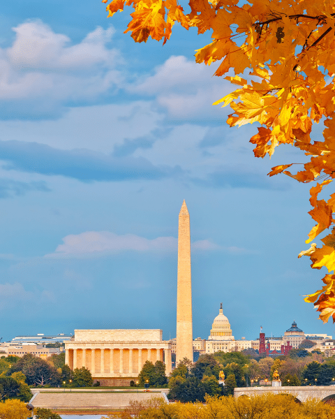 15+ Great Events & Day Trips Near Washington DC in the Fall