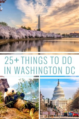 101 Cool and Creative Things to Do in DC