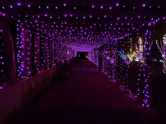 35+ Amazing DC Christmas Lights Displays (Updated 2024)