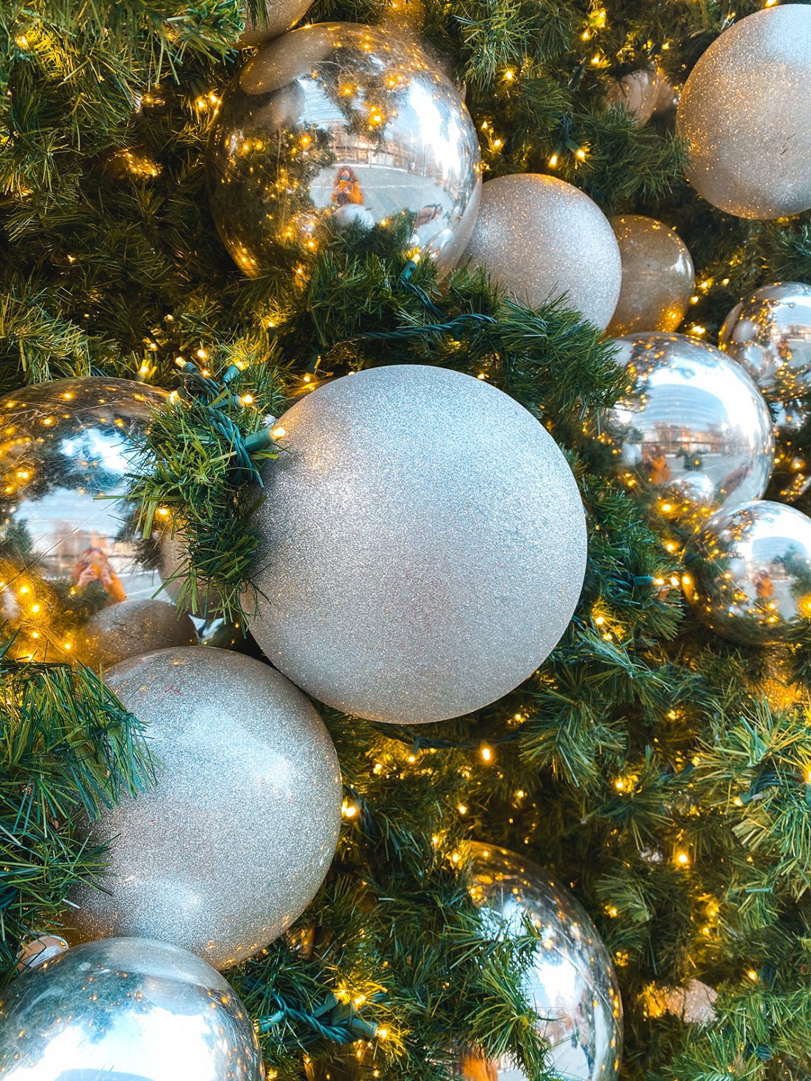 29+ Must-Visit Christmas Market DC Experiences for 2024!