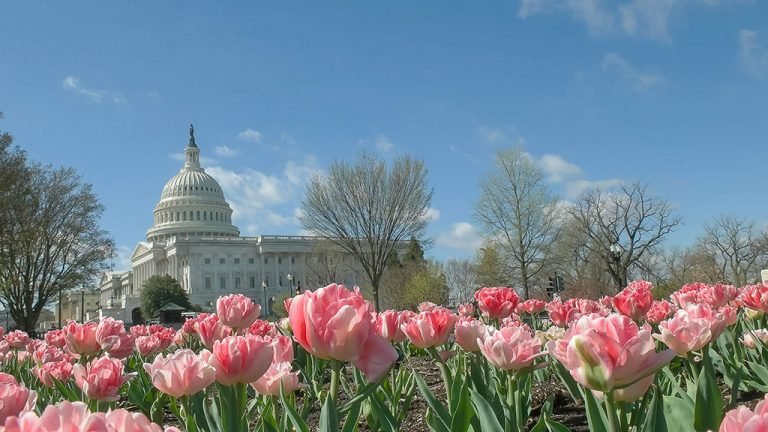 10 Awesome Washington DC Events To Attend In May