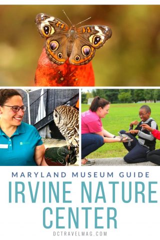 Discover Native Maryland Wildlife at Irvine Nature Center