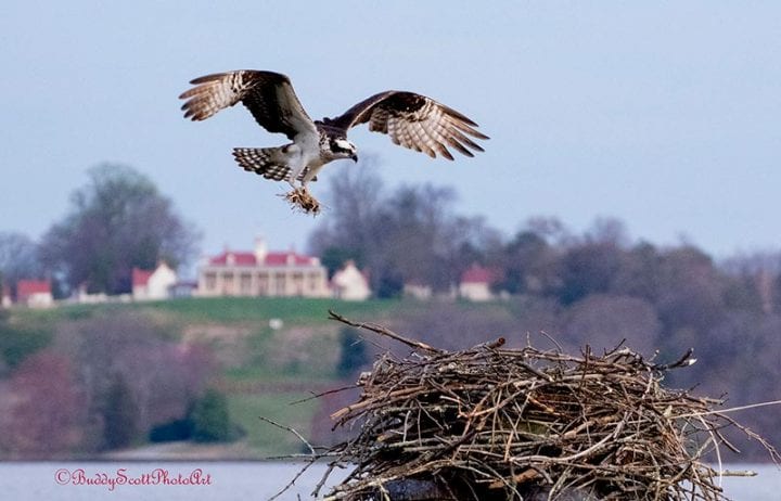National Colonial Farm: 25 Practical Tips For Your Visit
