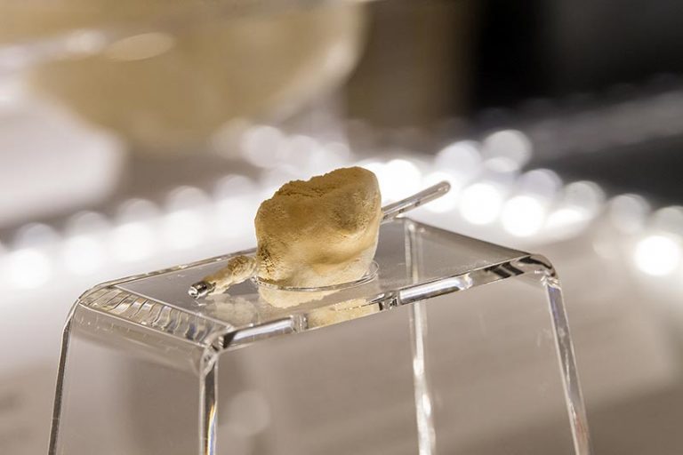 How to Explore the Didusch Center for Urologic History