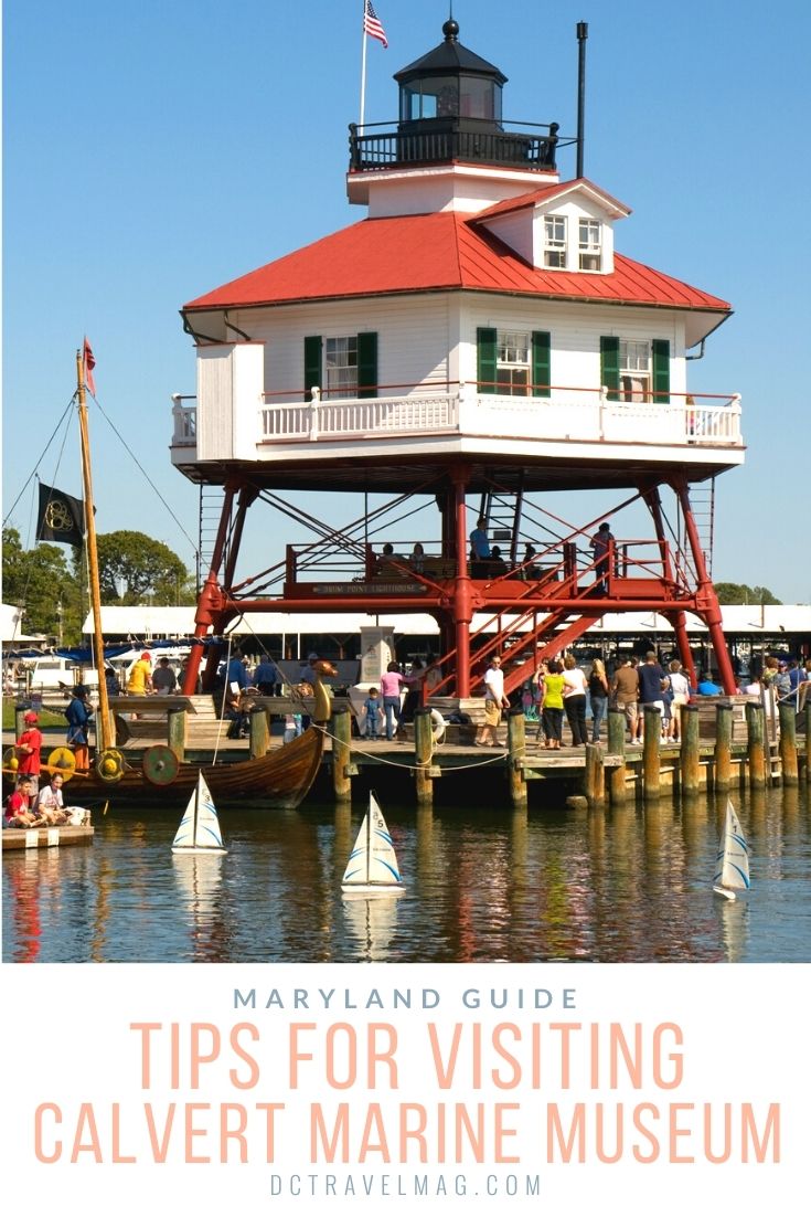 Discover the Calvert Marine Museum: Uncover the Wonders of the ...