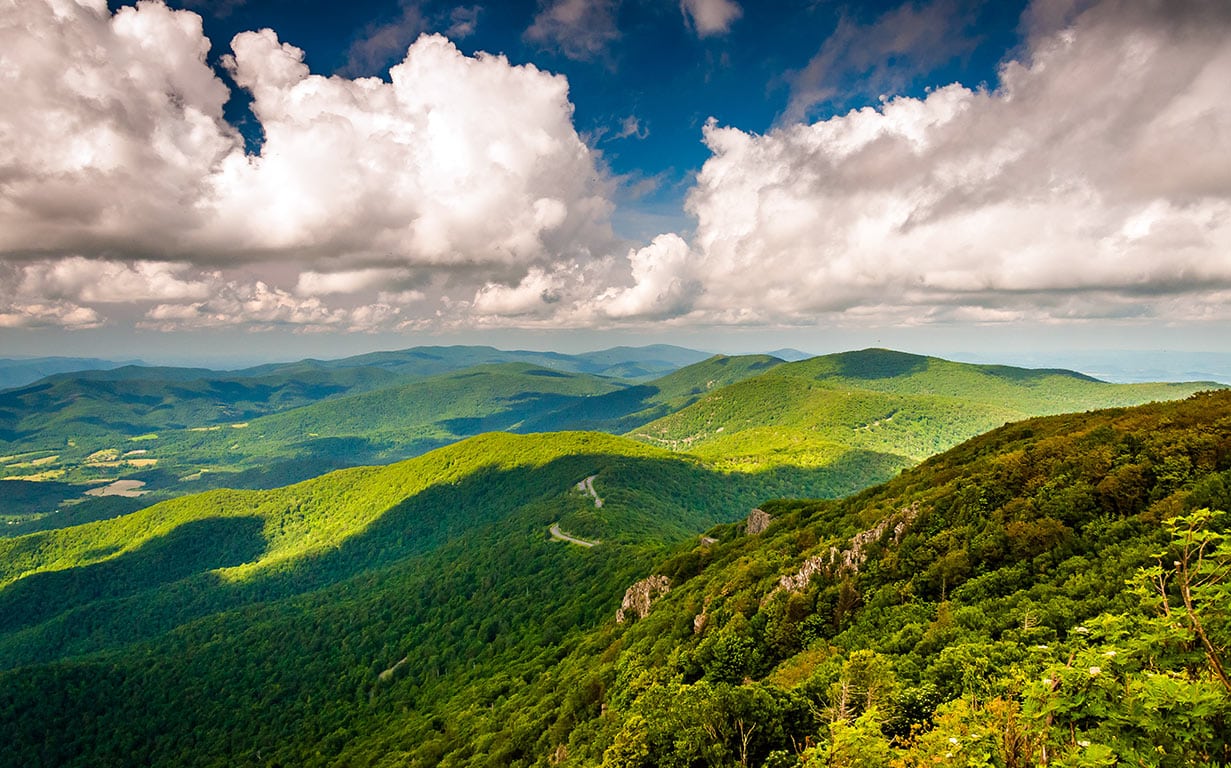 50 Extraordinary Things to do in Virginia in the Spring