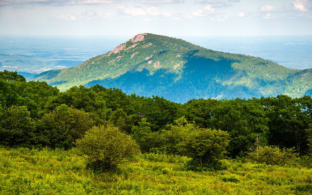 31 Seasonal Things to Do in Virginia During the Autumn Months