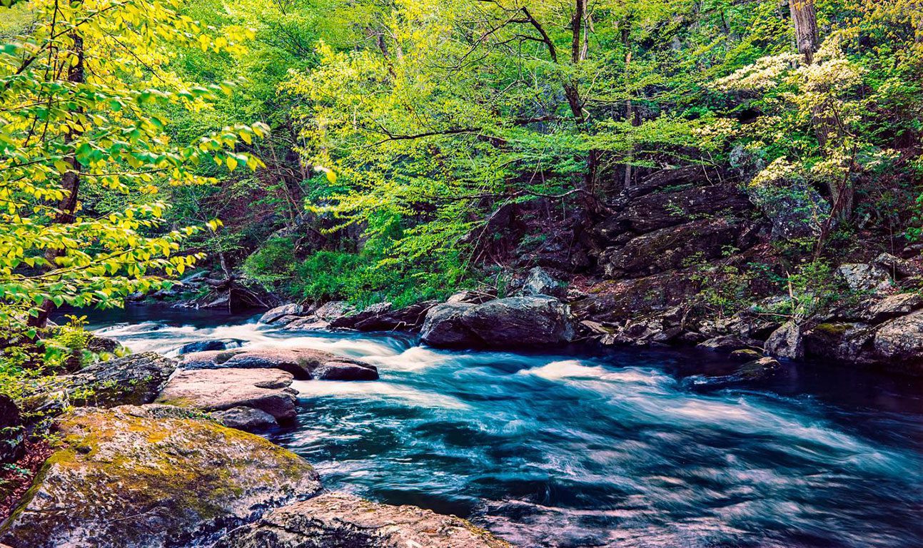 Maryland Waterfall Guide: 17 Stunning Spots You Can't Miss