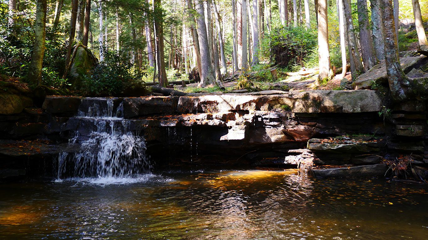 Maryland Waterfall Guide: 17 Stunning Spots You Can't Miss