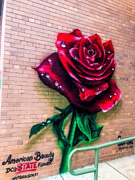 51 Murals: A Visual Movement for DC Statehood