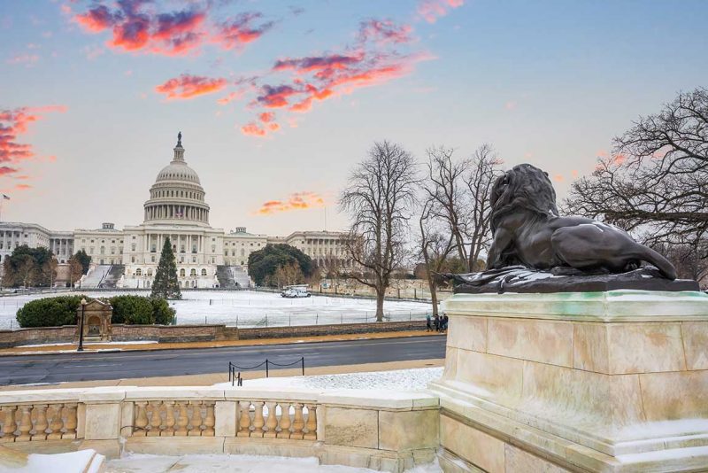 15 Exciting Washington DC Snow Activities to Enjoy in DC!