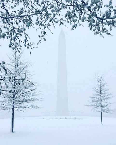 15 Exciting Washington DC Snow Activities to Enjoy in DC!