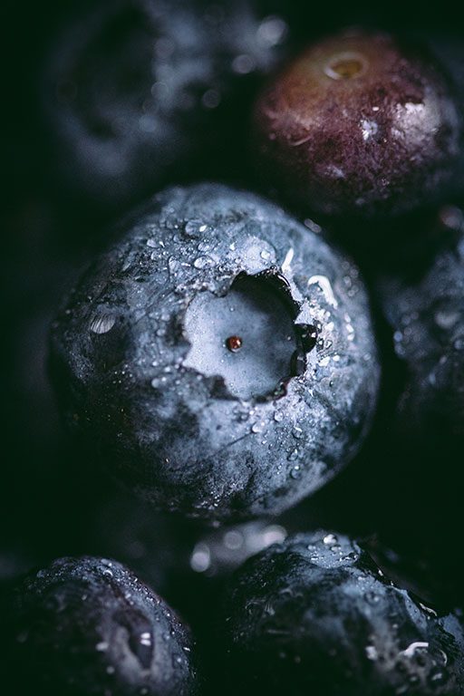 Virginia Blueberries: A Guide to Picking Your Own