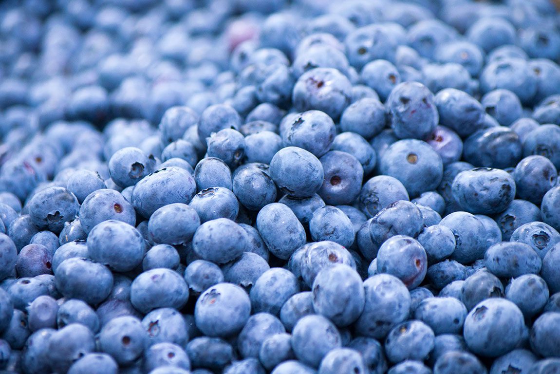 Virginia Blueberries: A Guide to Picking Your Own