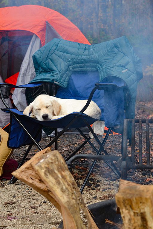 Top Virginia Campgrounds for Outdoor Adventures