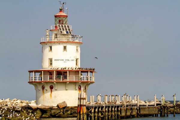 12 Must-Visit Delaware Lighthouses: Stunning Spots to Enjoy