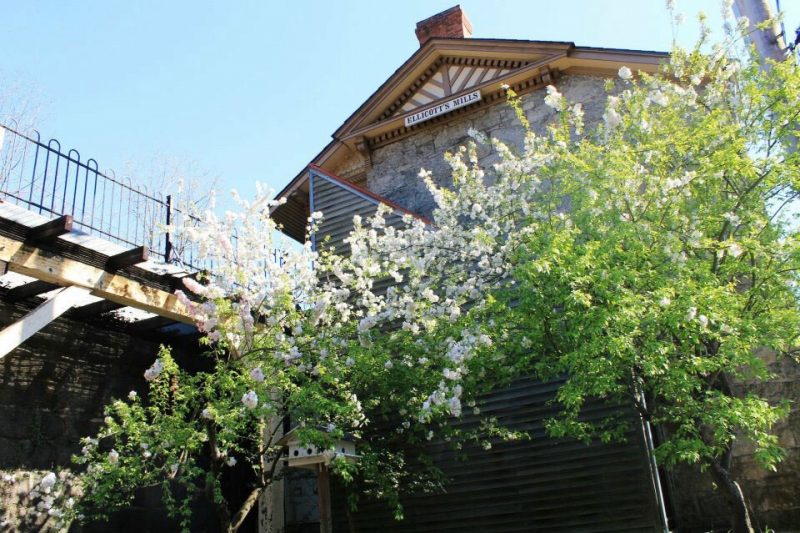 30+ Charming Things to do in Ellicott City Maryland