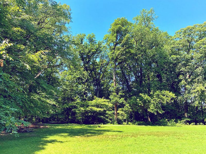 25+ Amazing Things to Do in Silver Spring MD You’ll Love