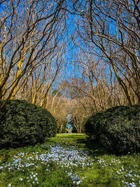 12 Free Outdoor and Historic Things to do in Surry Virginia