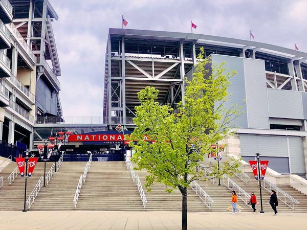Everything You Need to Know at A Washington Nationals Baseball Game