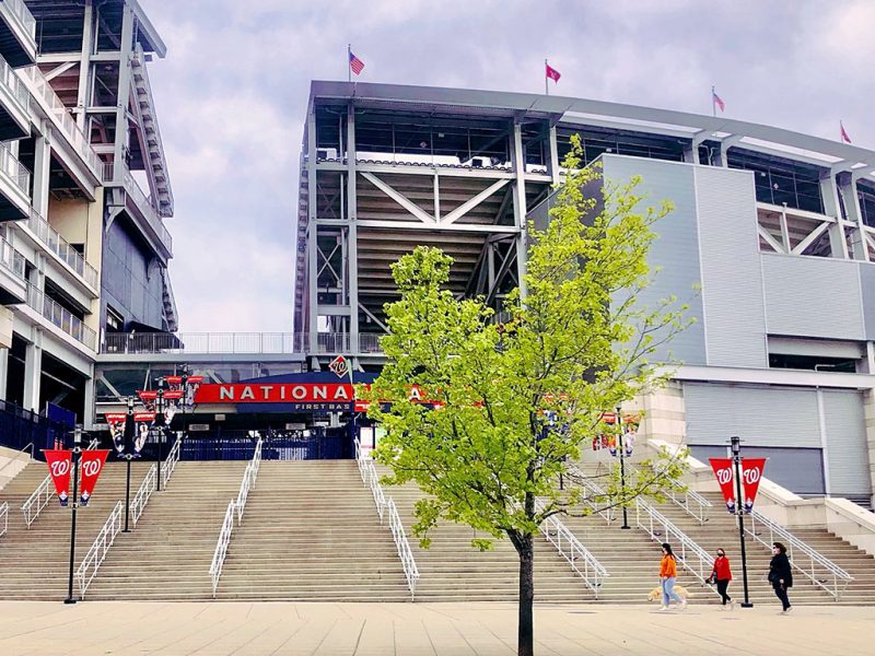 Everything You Need to Know at A Washington Nationals Baseball Game