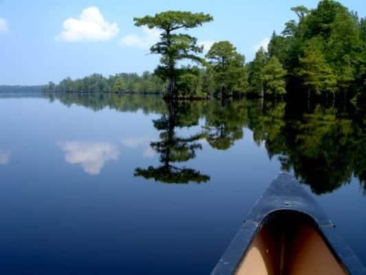 20+ Incredible Places to Explore in Suffolk Virginia