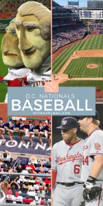Everything You Need to Know at A Washington Nationals Baseball Game