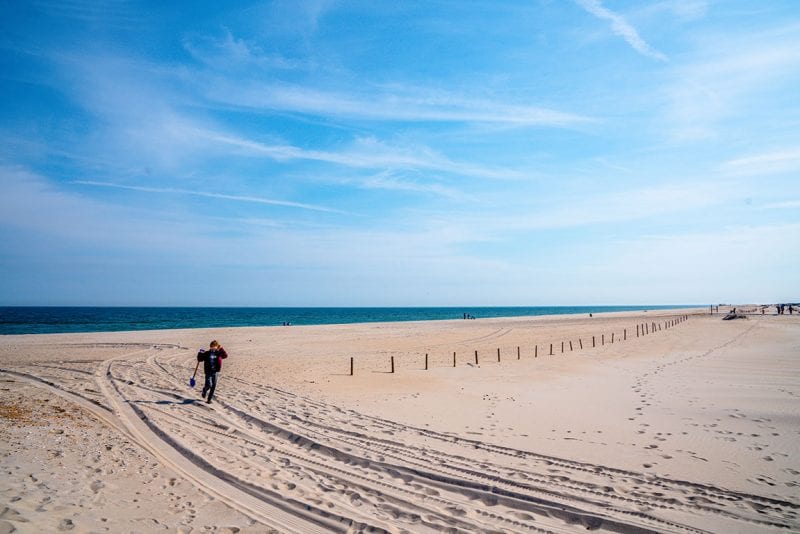Escape the City: Best Beaches Near Washington, DC