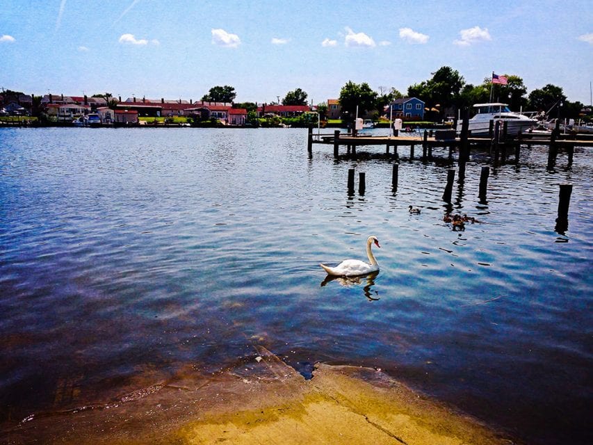 Escape the City: Best Beaches Near Washington, DC