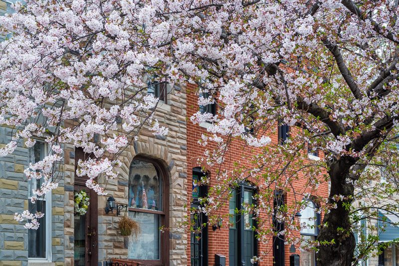 10 Lively Things to do in Baltimore's Patterson Park Neighborhood