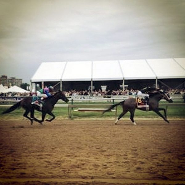 10 Amazing Spring Baltimore Events to Attend this Year