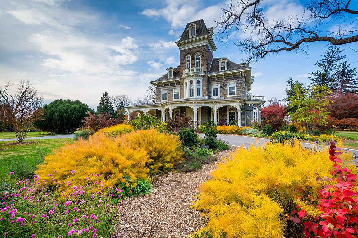21 Stunning Gardens in Baltimore You Must Visit