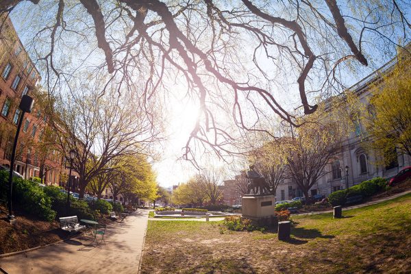 21 Stunning Gardens in Baltimore You Must Visit