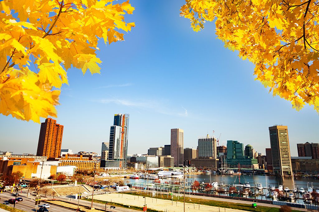 Explore Baltimore in Autumn: Fall Foliage & Festival Fun