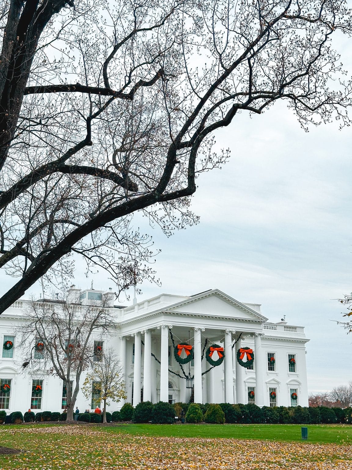 Easy Steps How to Book & Secure White House Tours in 2025