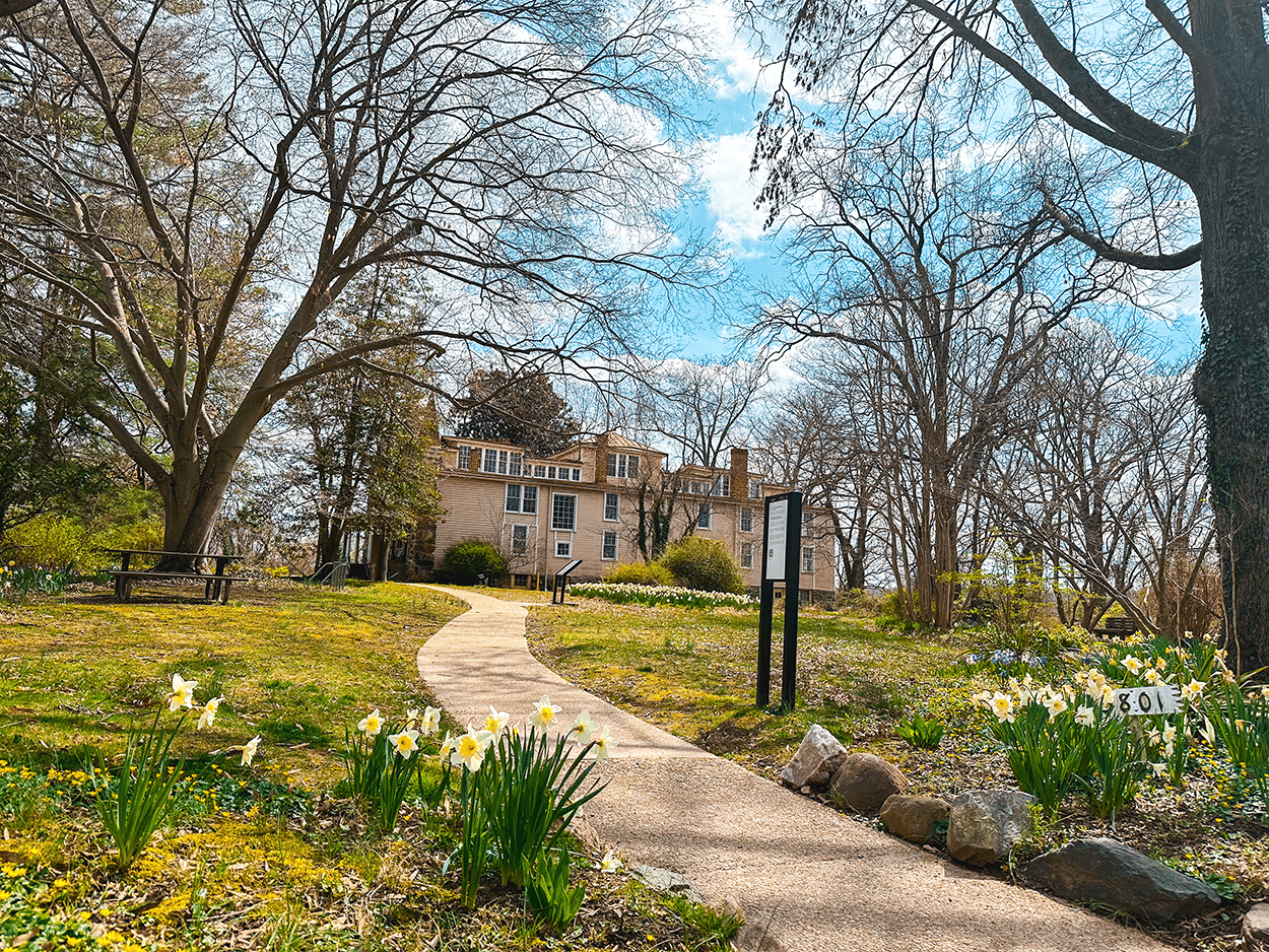 19 Stunning Trails & National Parks in Washington DC