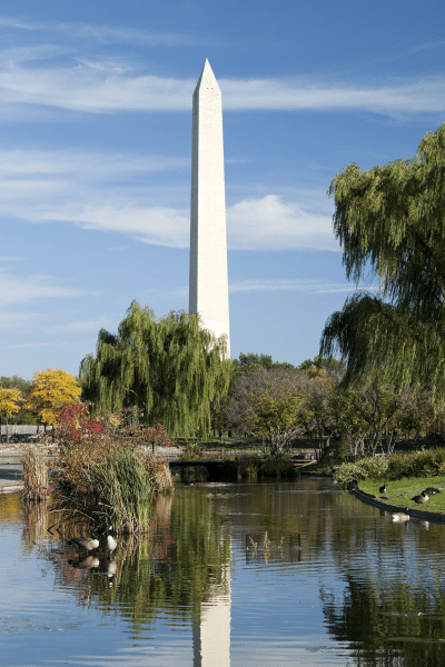 19 Stunning Trails & National Parks in Washington DC
